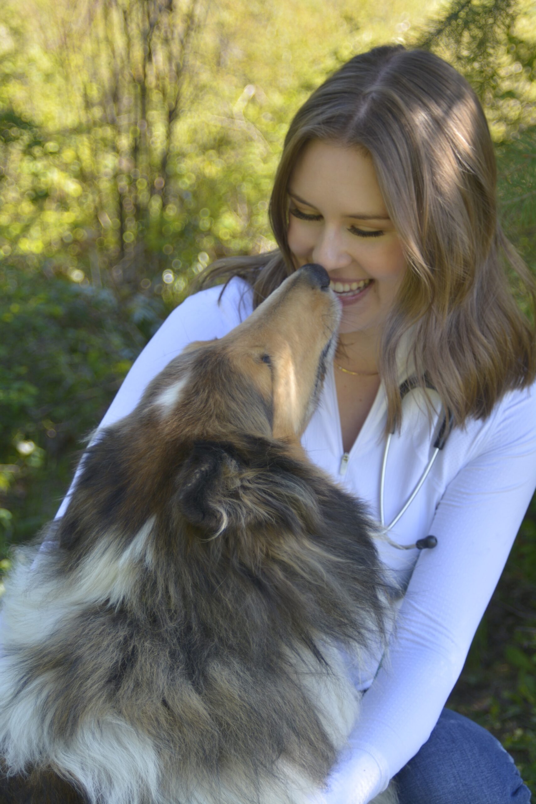 Small Animal Mobile Services - Basic Wellness Care In Enderby, BC ...